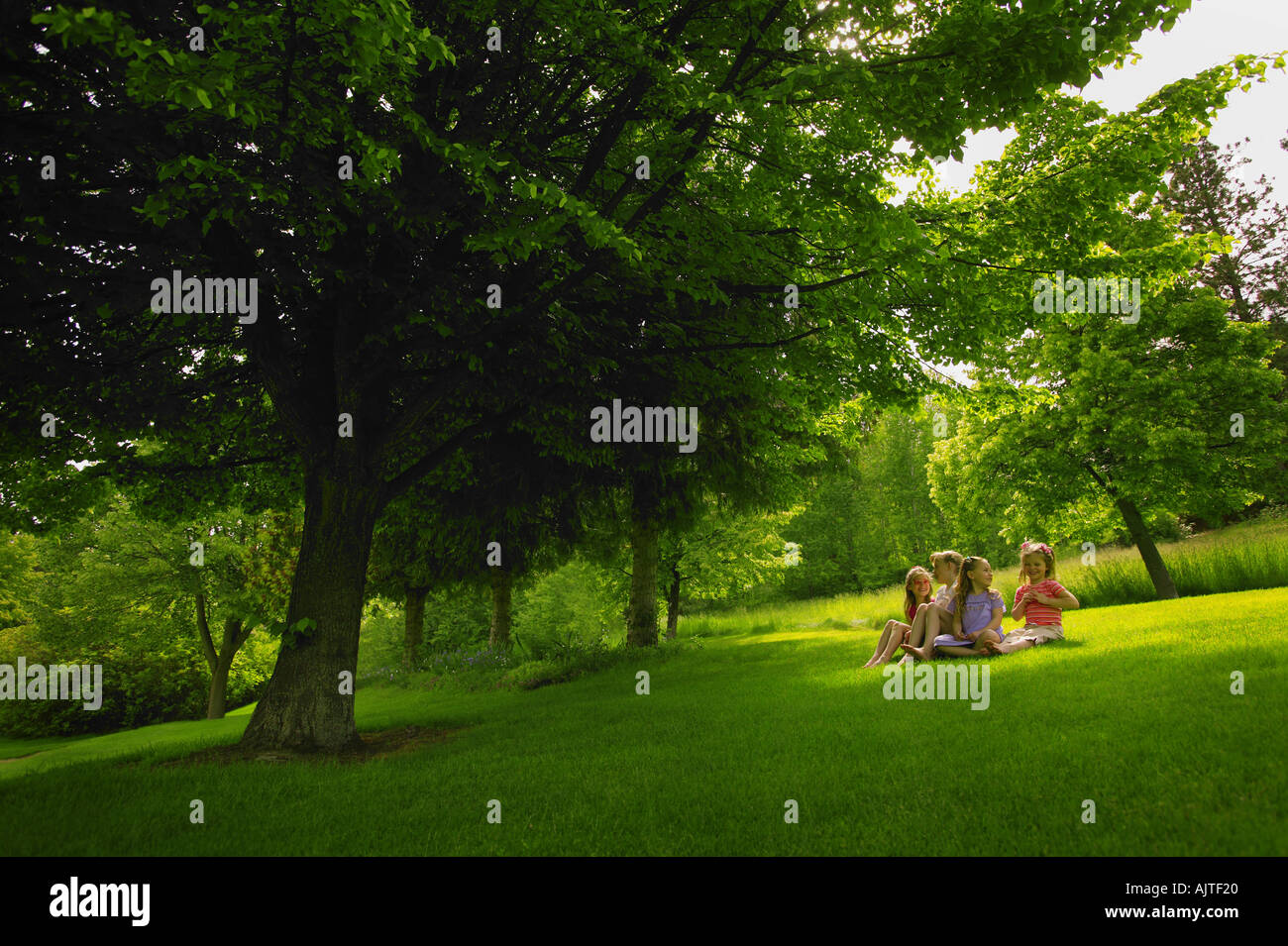 Family sitting under a tree hi-res stock photography and images - Alamy