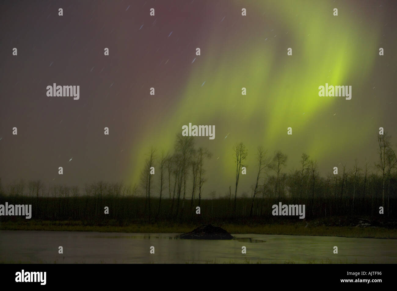 Edmonton northern lights hi-res stock photography and images - Alamy