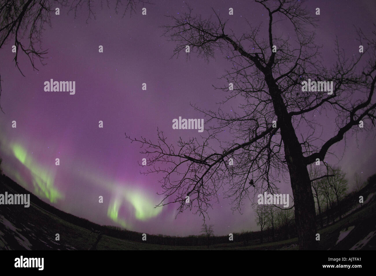 Edmonton northern lights hi-res stock photography and images - Alamy