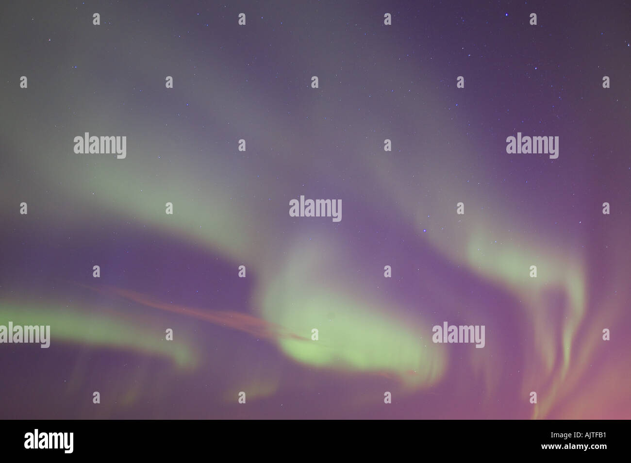 Edmonton northern lights hi-res stock photography and images - Alamy