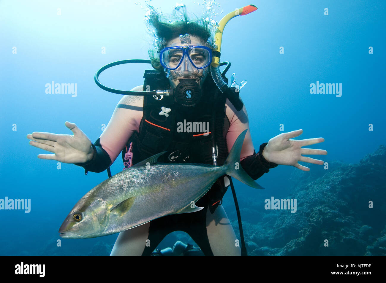 Almaco almaco hi-res stock photography and images - Alamy