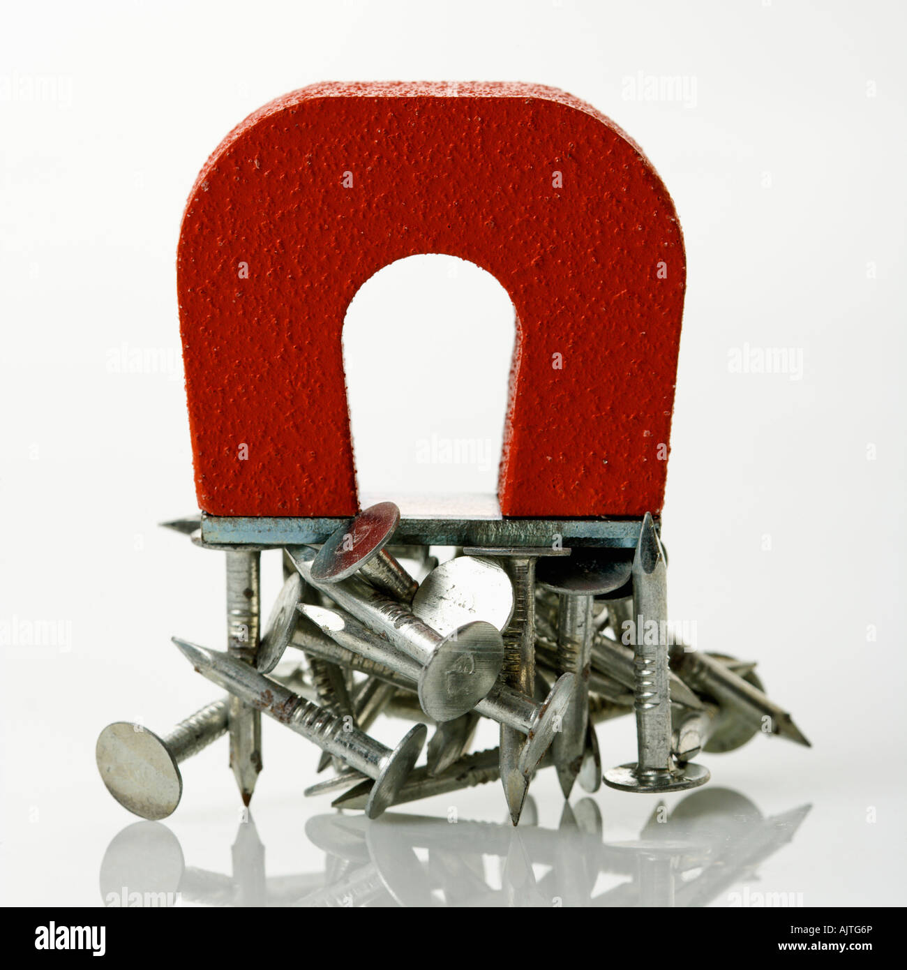Red magnet holding metal nails on white background Stock Photo - Alamy