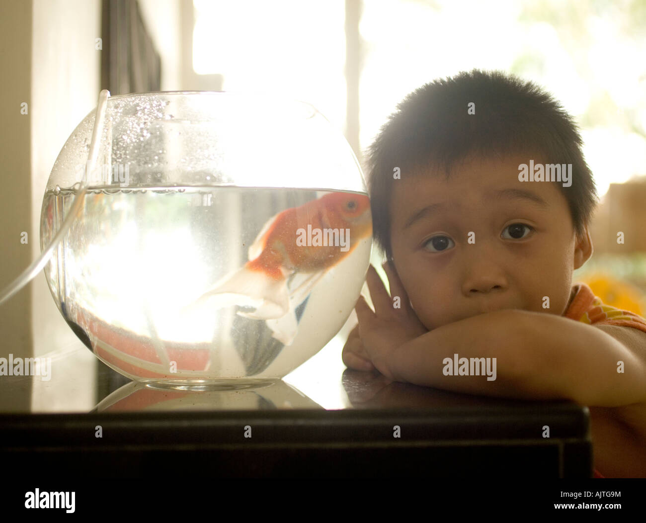 Fish Bowl Man Meaning at Sandra Raines blog