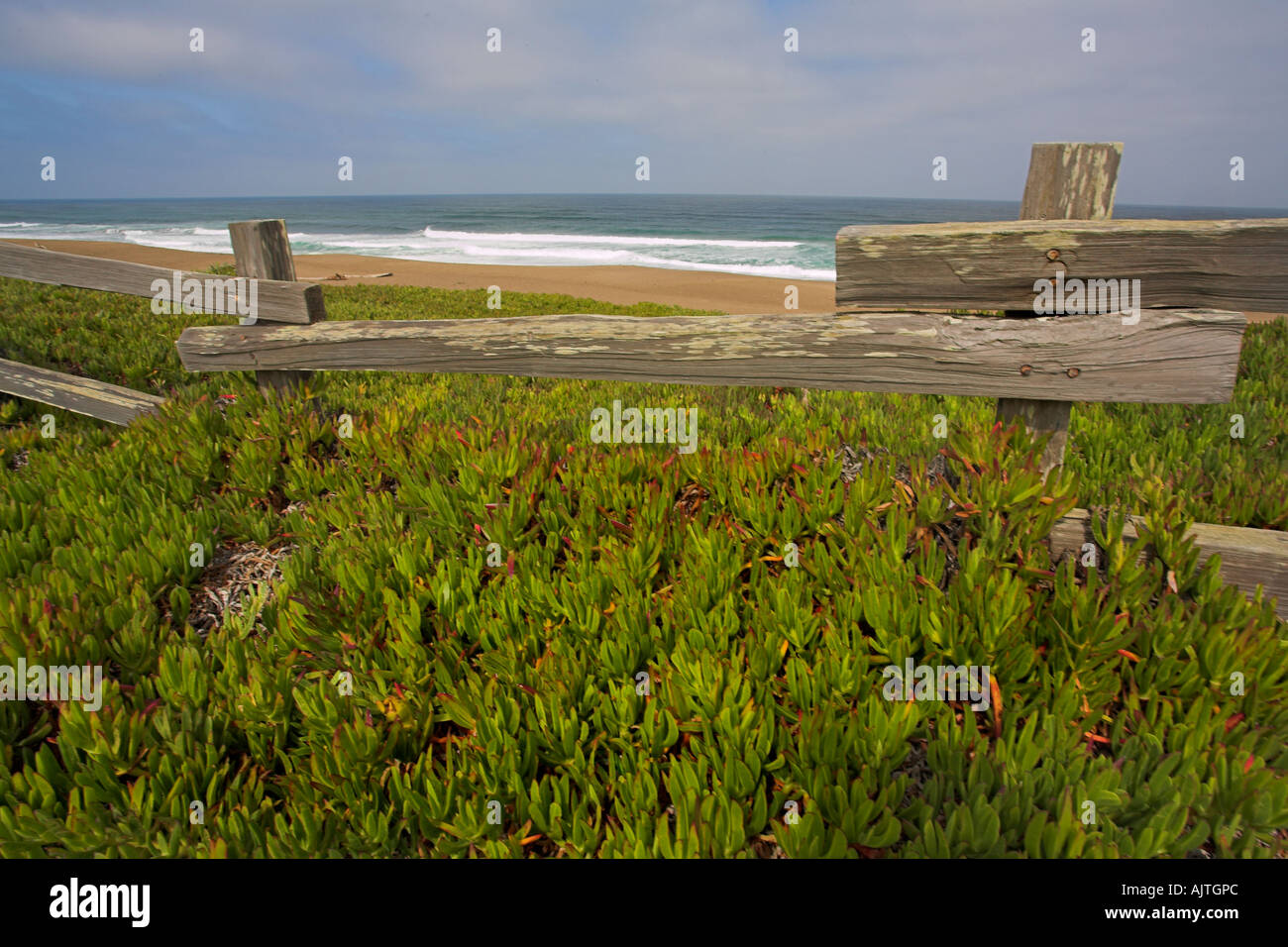 North Beach, Point Reyes National Seashore, California Stock Photo - Alamy