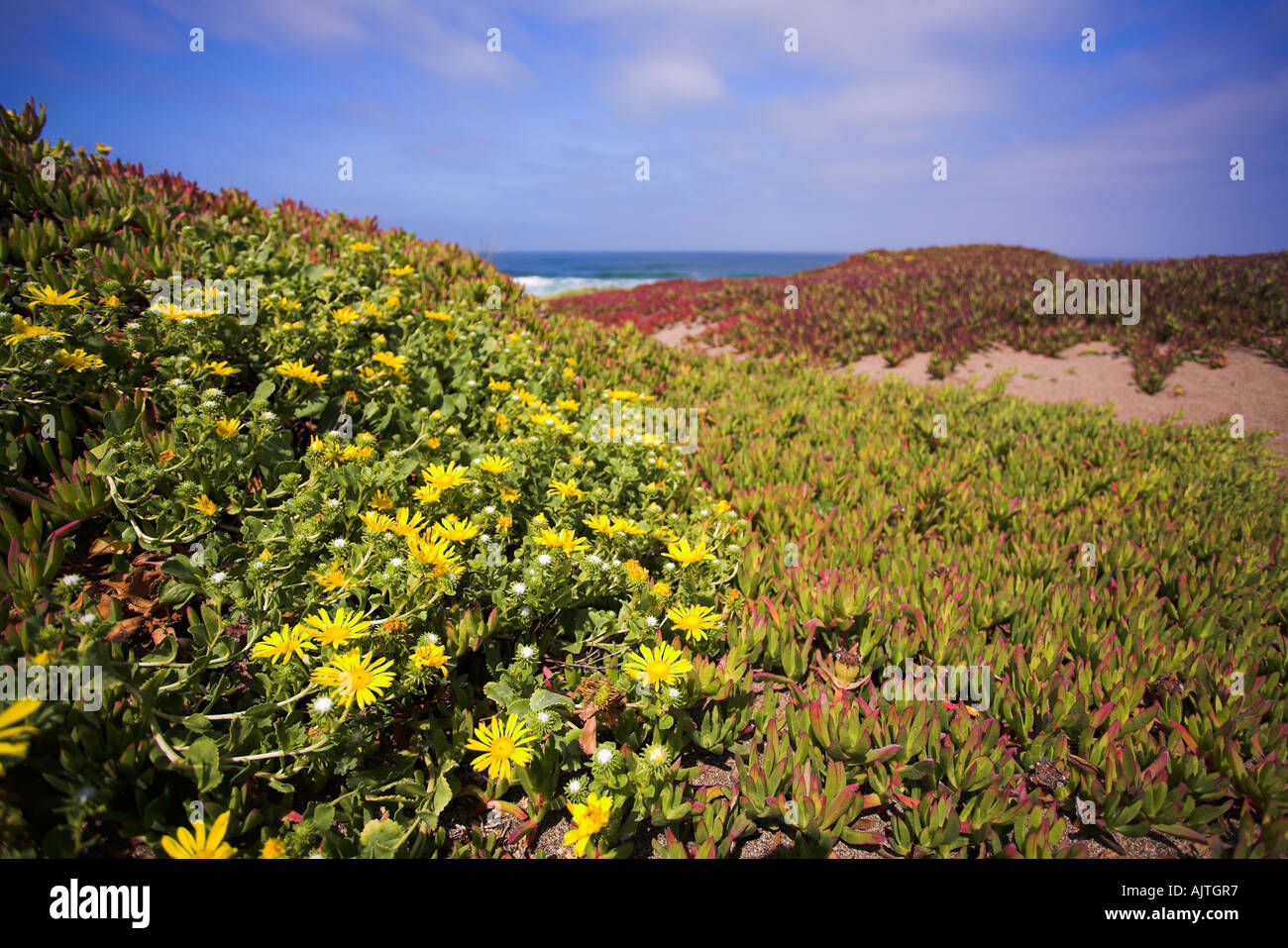 Landscape north beach point hi-res stock photography and images - Alamy