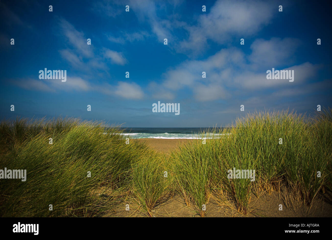 North Beach, Point Reyes National Seashore, California Stock Photo - Alamy