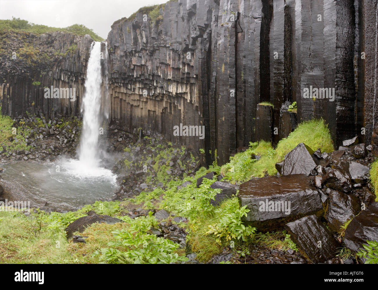 Svartifoss waterfall and columnar basalt formations in Skaftafell ...