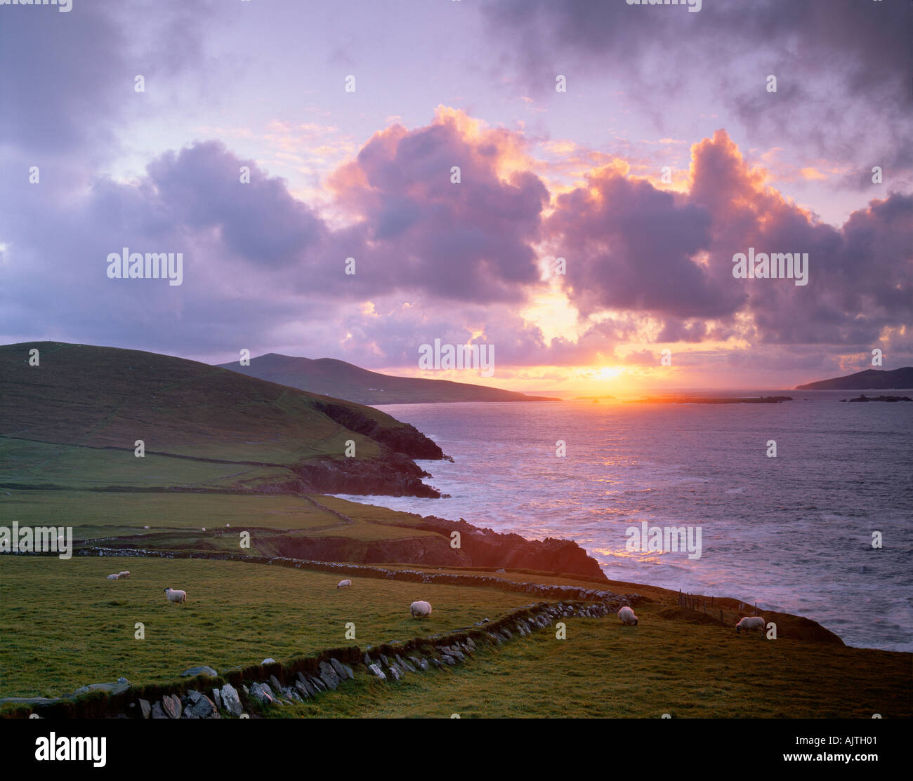 Dunmore head county kerry hi-res stock photography and images - Alamy