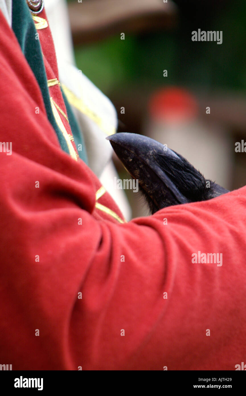 Girl giving a hug to a Raven Stock Photo - Alamy