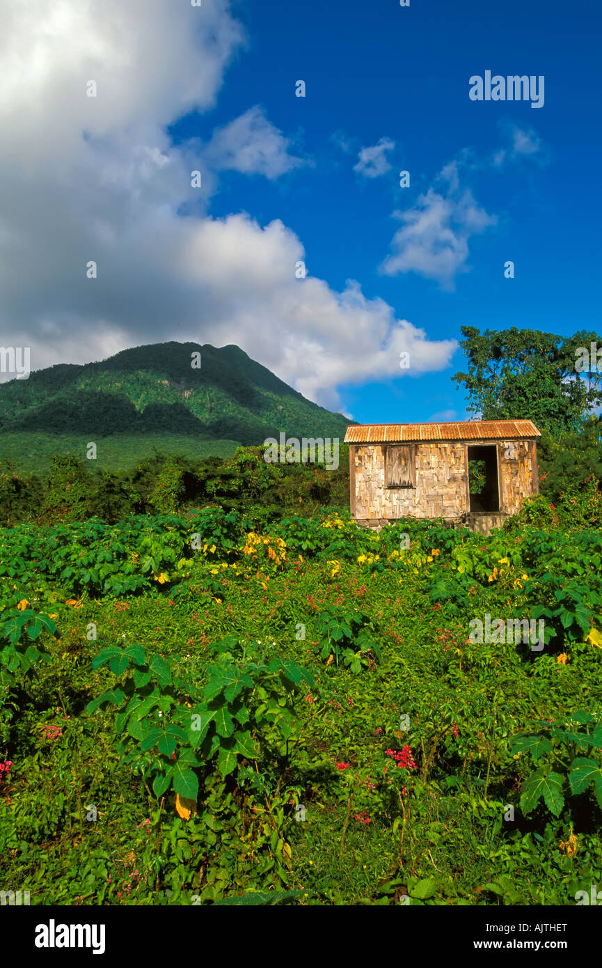 Island of Nevis St Kitts and Nevis Caribbean, old nevesian wood ...
