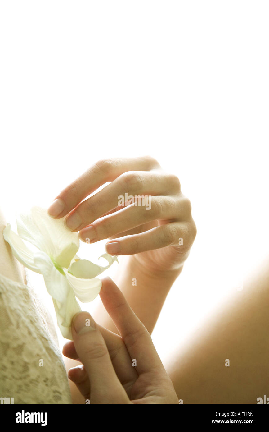 Female holding orchid flower, cropped Stock Photo - Alamy