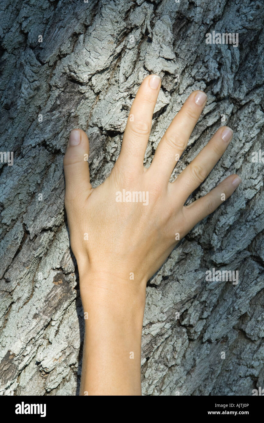 Womans trunk hi-res stock photography and images - Alamy