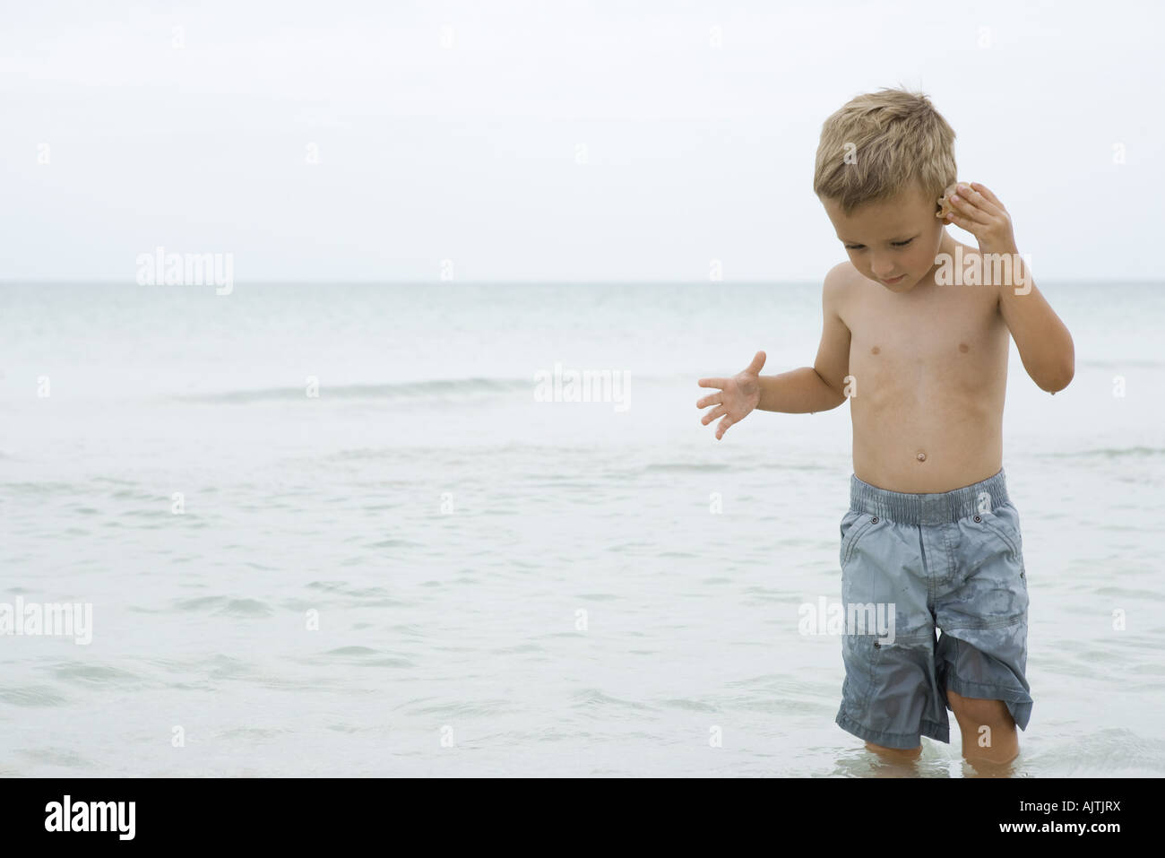 Seashells Boy Stock Photos & Seashells Boy Stock Images - Alamy