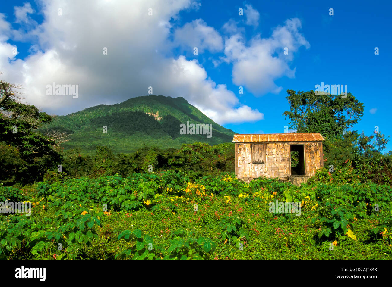 Mount Nevis, green volcano peak, open fields, Island of Nevis, St Kitts ...