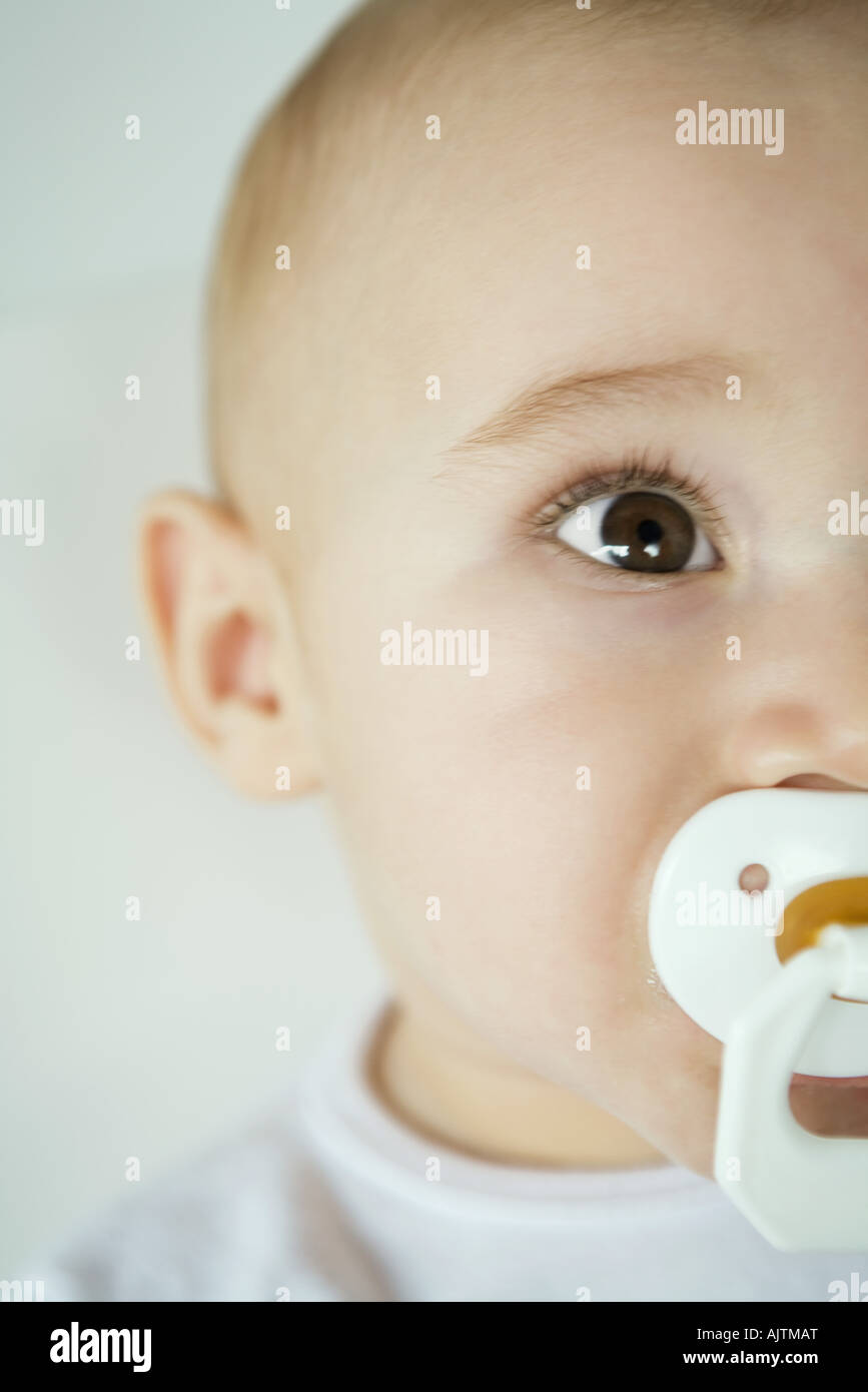 Baby with pacifier in mouth, close-up, cropped view Stock Photo - Alamy