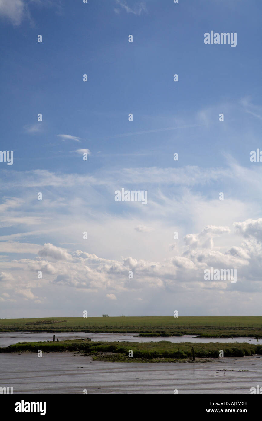 my favorite color is blue Stock Photo - Alamy