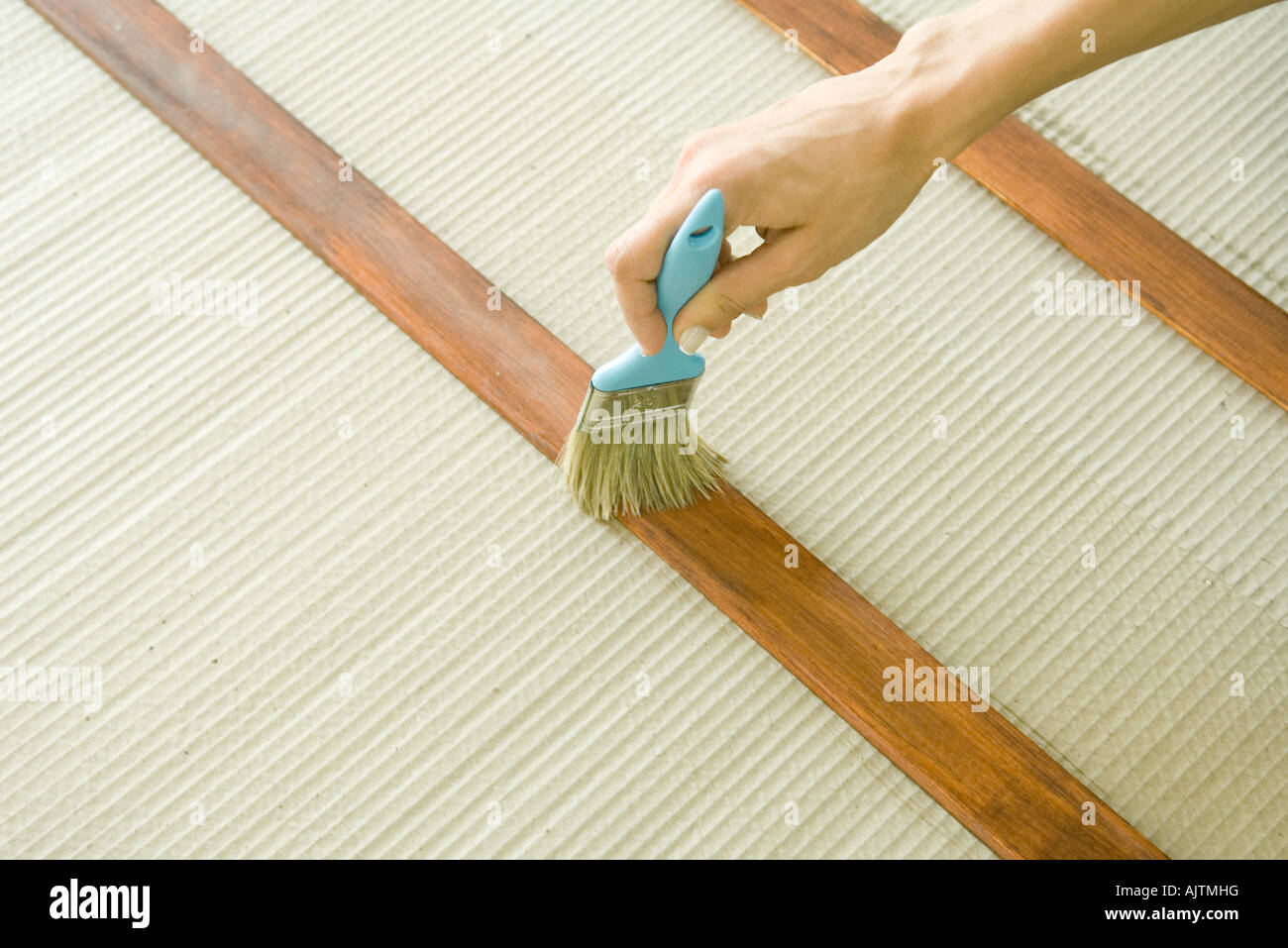 Differential Staining High Resolution Stock Photography and Images - Alamy