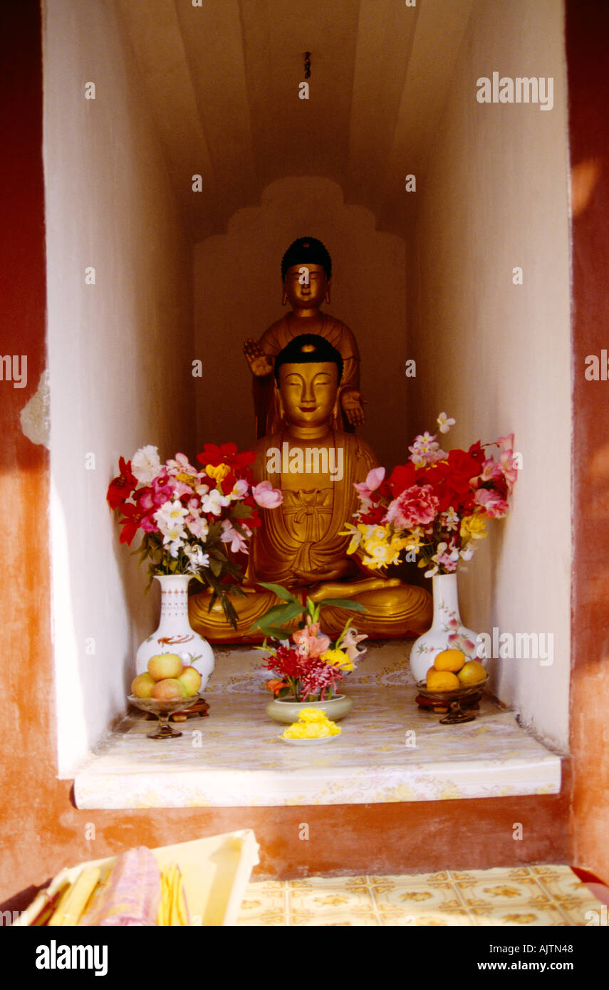 Guilin flowers hi-res stock photography and images - Alamy