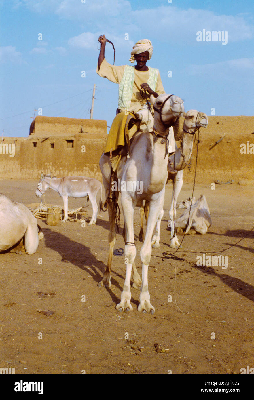 Sudan nomad camel hi-res stock photography and images - Alamy