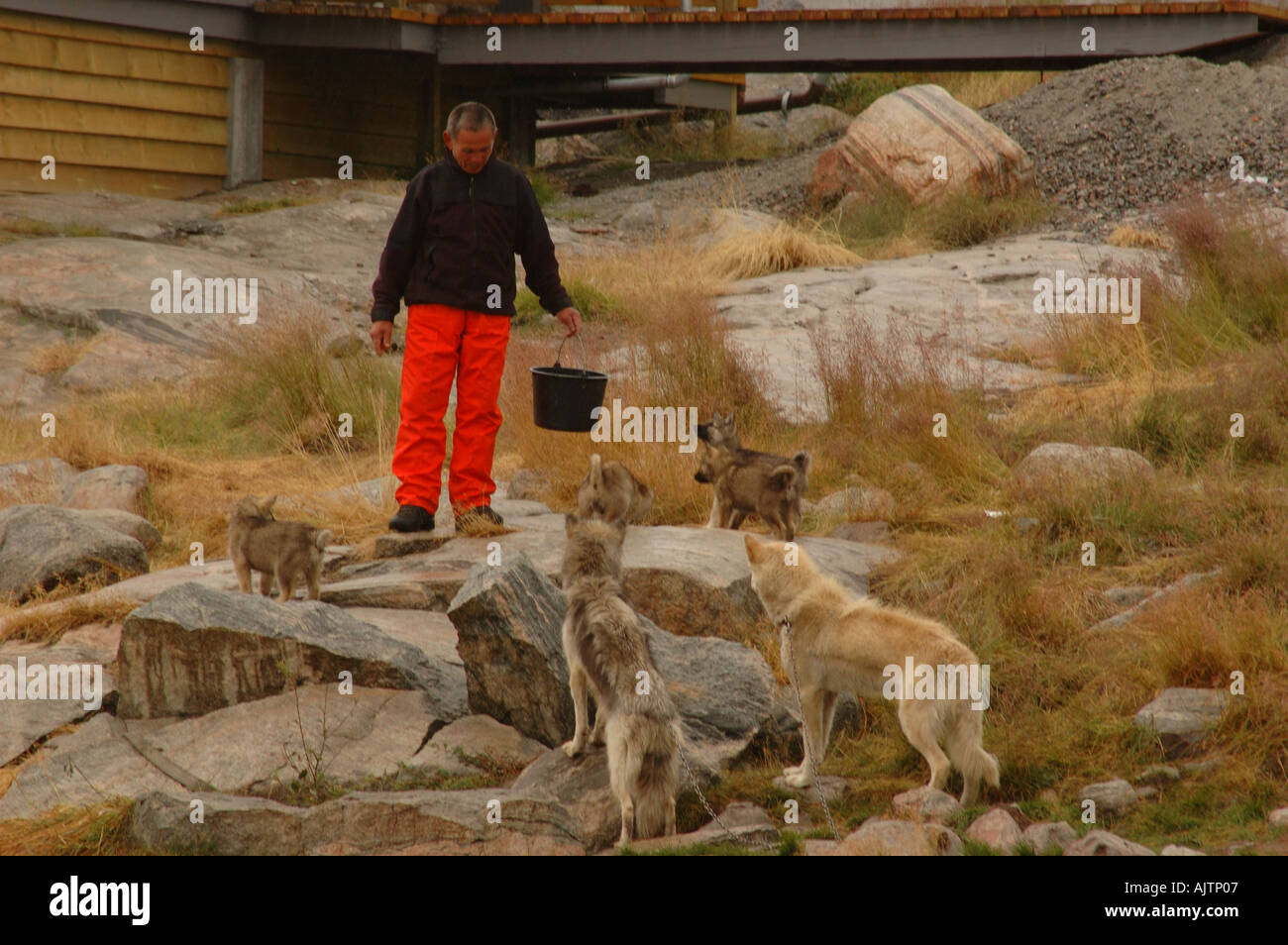 Inuit greenland tradition hi-res stock photography and images - Alamy