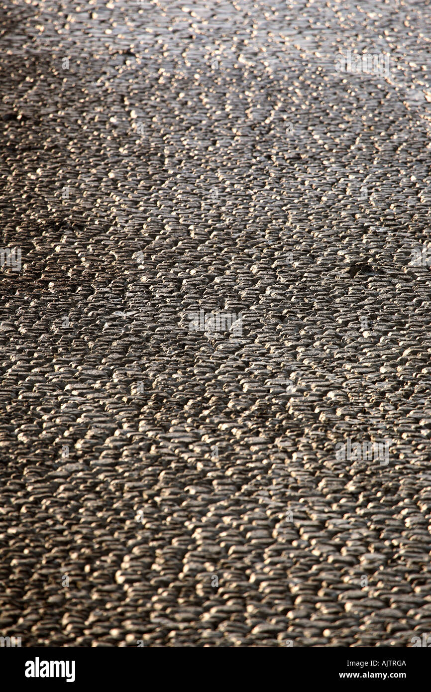Drought conditions in southeast Alberta Canada Stock Photo - Alamy