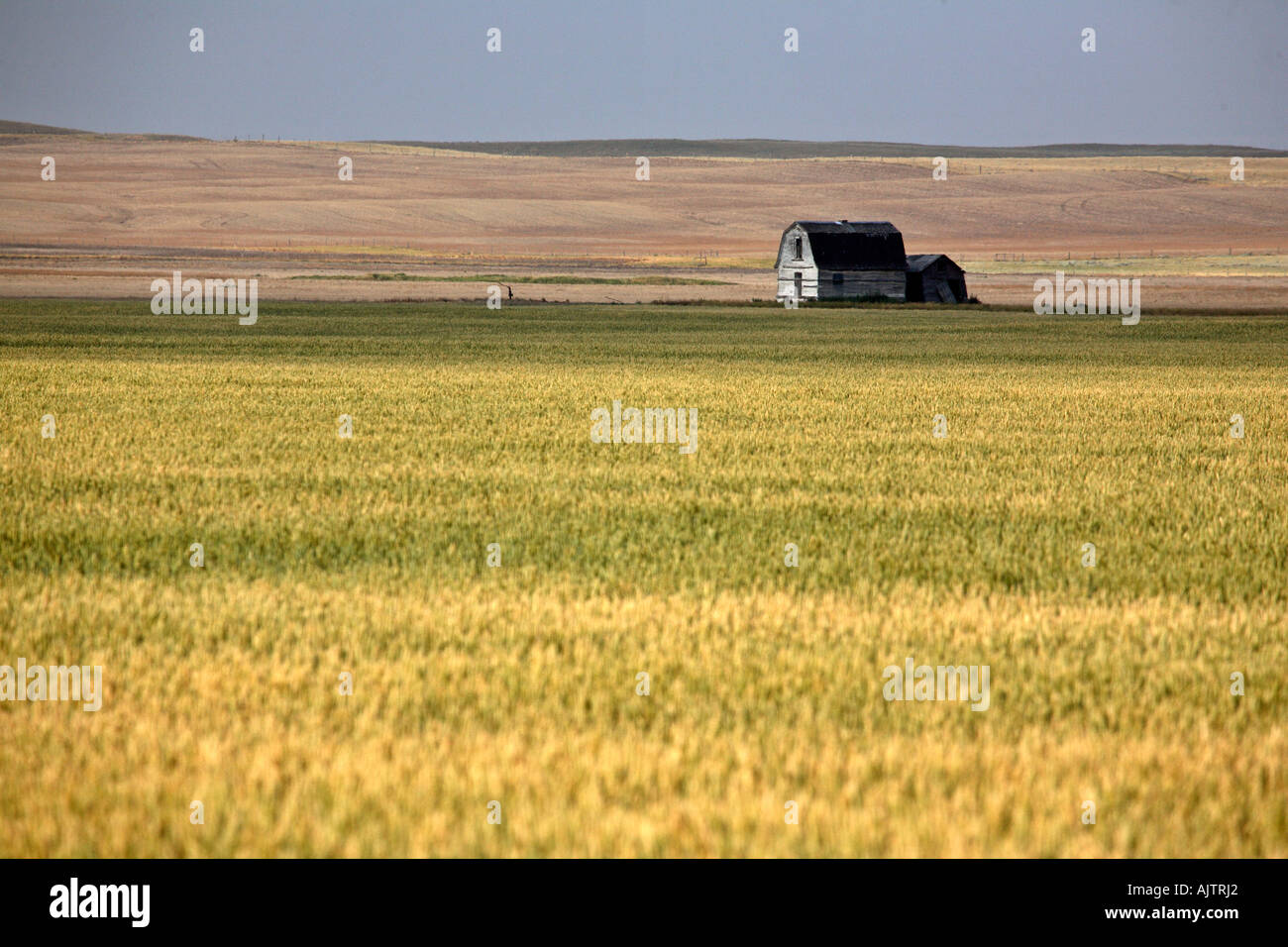 Old ranch buildings in southwestern Alberta Canada Stock Photo - Alamy