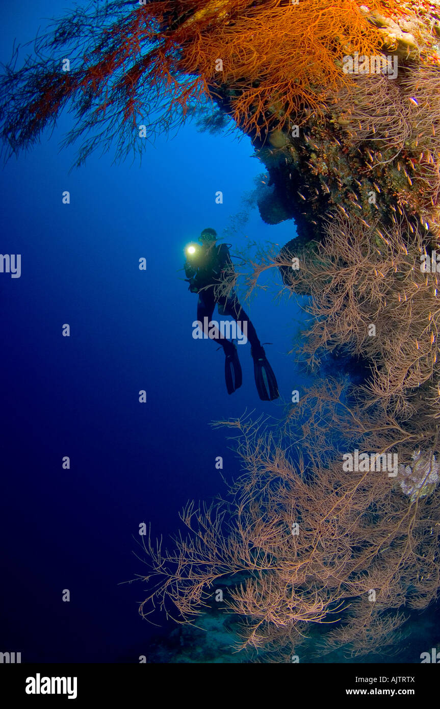 Diver at Coral Reef Layang Layang South China Sea Malaysia Stock Photo ...