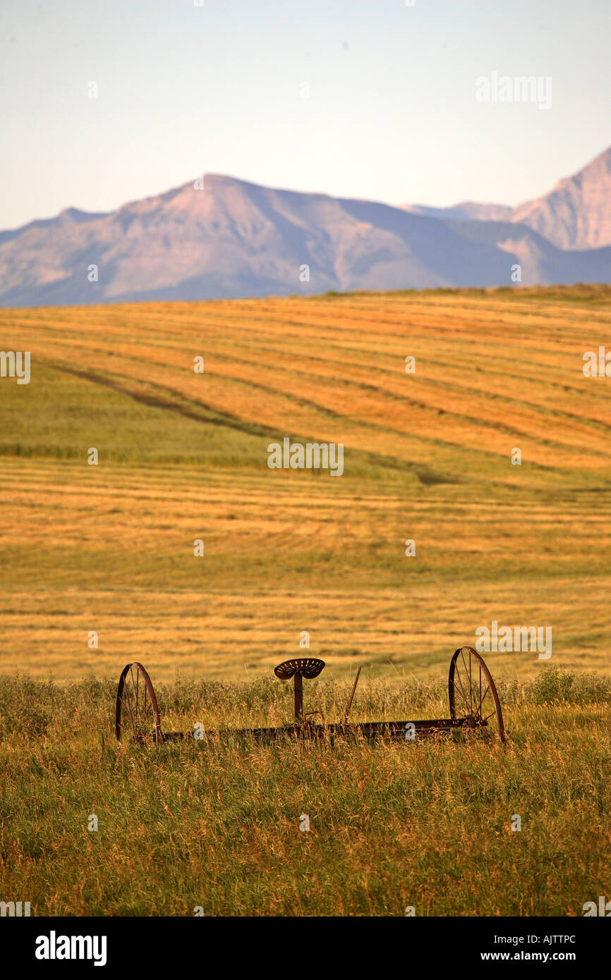 Scenic view of the Rocky Mountains NW of Pincher Creek in southwestern ...