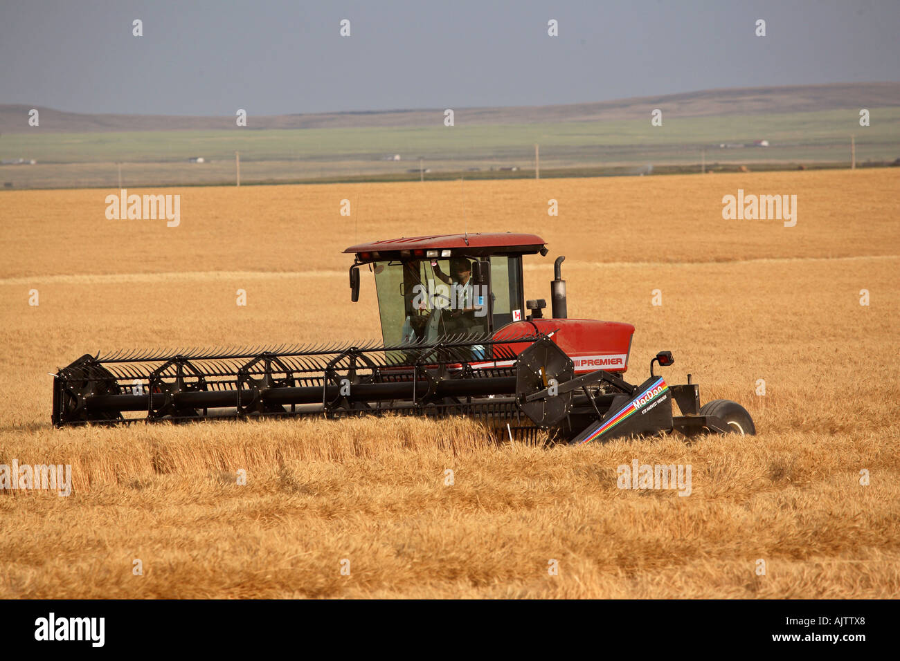 Swathing wheat hi-res stock photography and images - Alamy