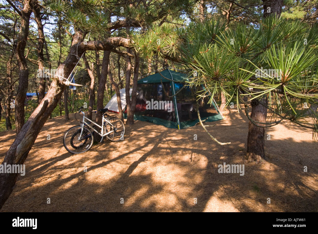 A camp scene at the North of Highland Campground at the Cape Cod ...