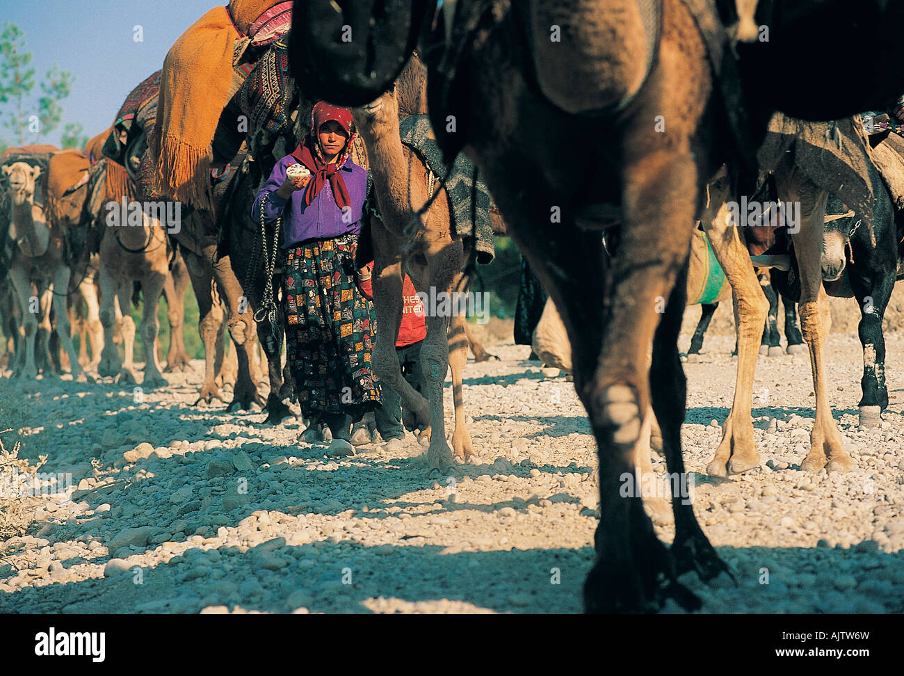 Indigenous caravan hi-res stock photography and images - Alamy