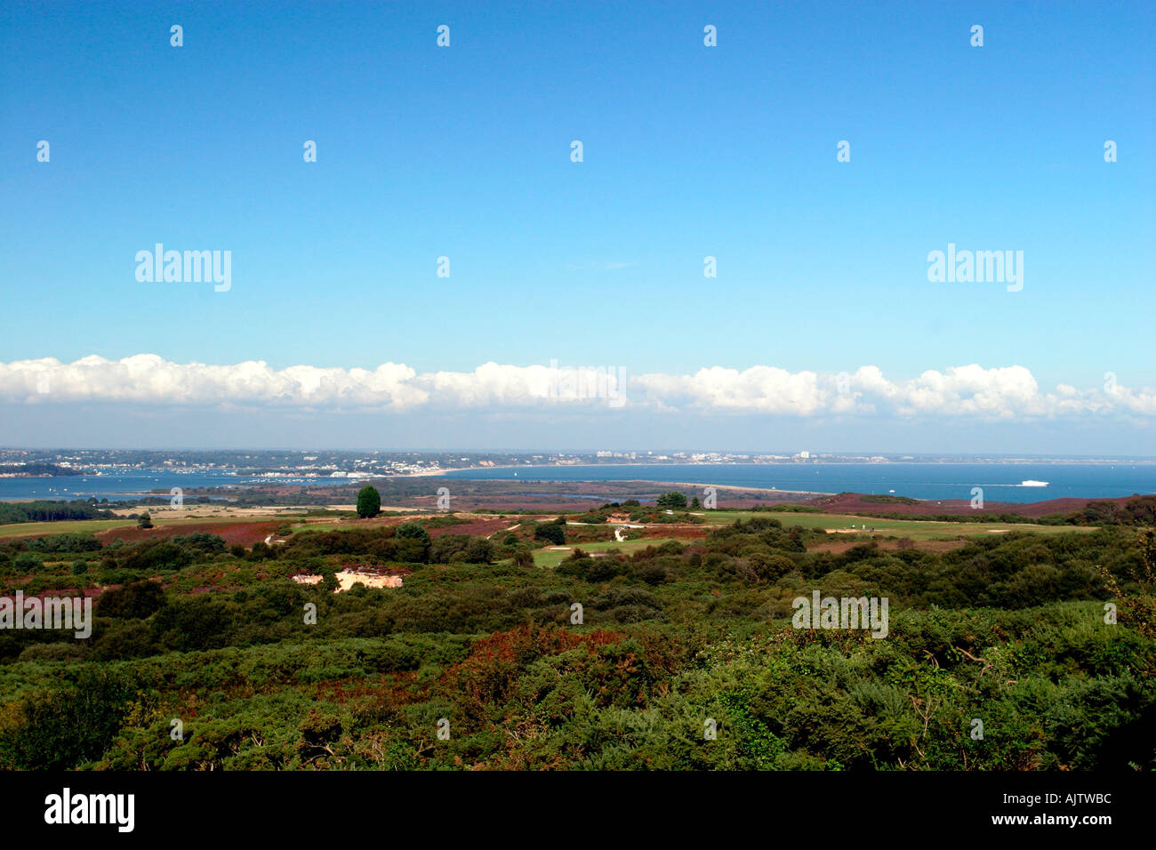 Poole Harbour View Point at Studland Stock Photo - Alamy