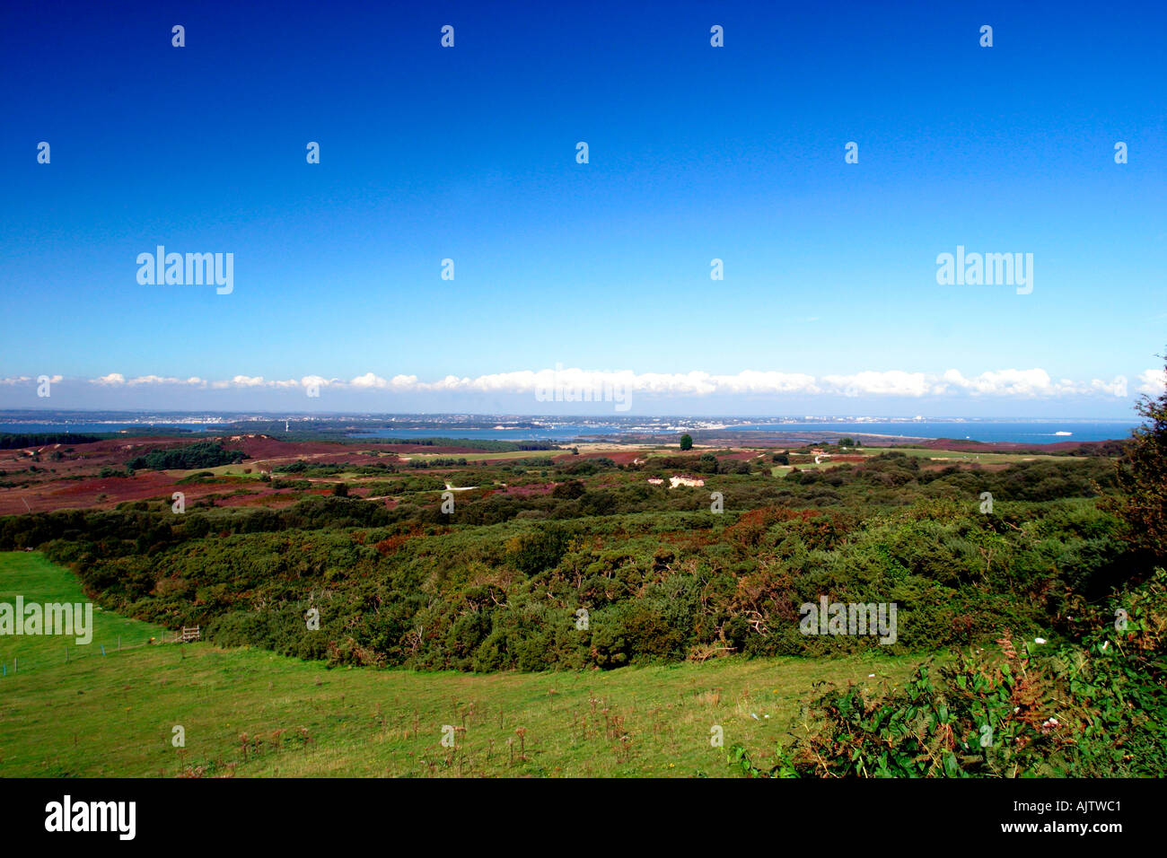 Poole Harbour View Point at Studland Stock Photo - Alamy