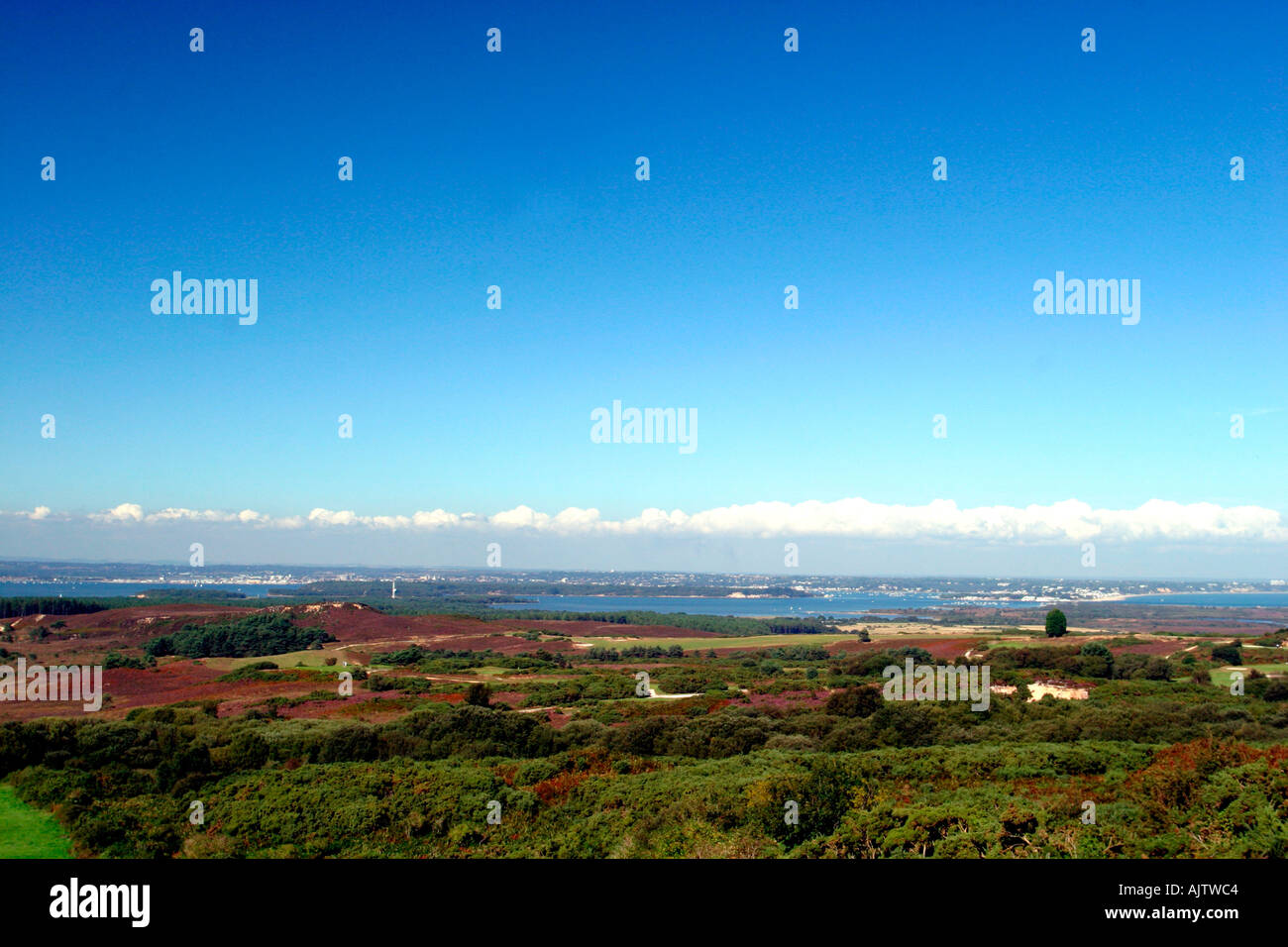 Poole Harbour View Point at Studland Stock Photo - Alamy