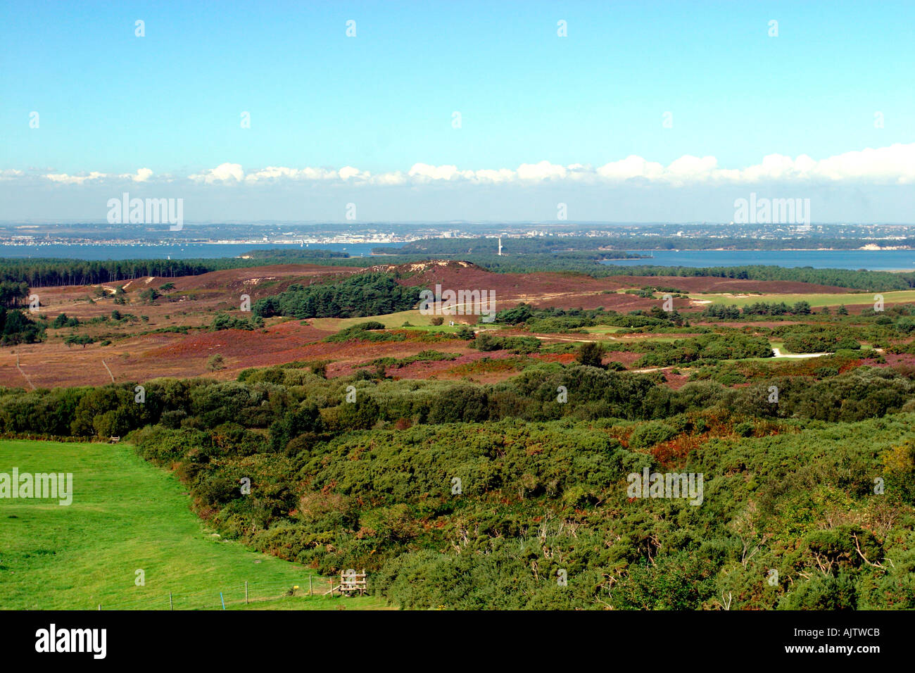 Poole Harbour View Point at Studland Stock Photo - Alamy