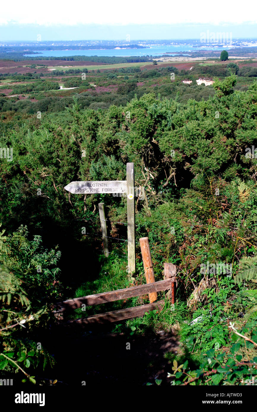 Poole harbour viewpoint studland hi-res stock photography and images ...
