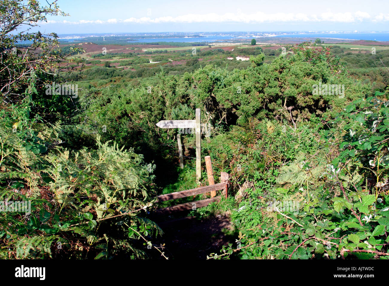 Poole Harbour View Point at Studland Stock Photo - Alamy