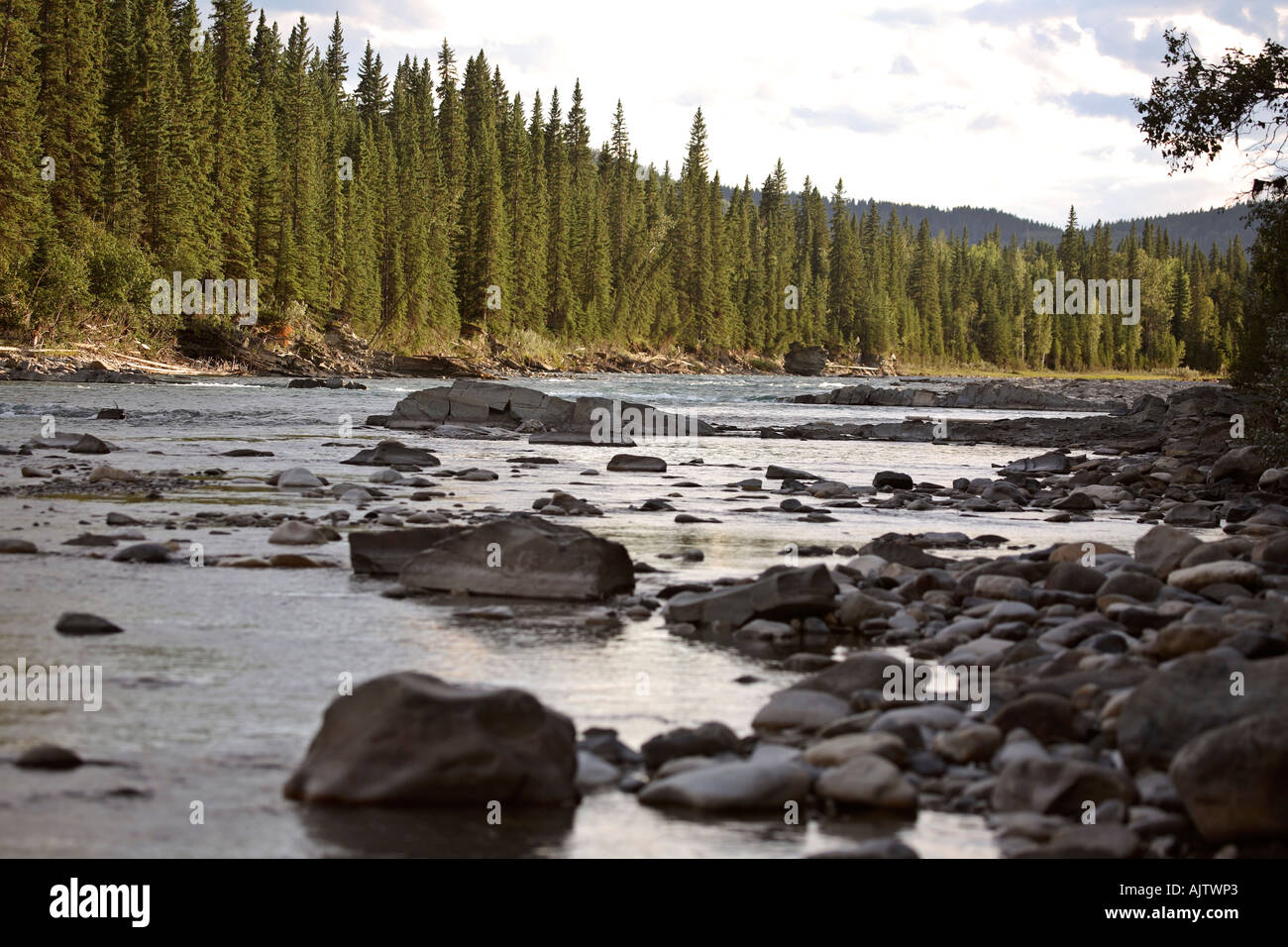 Red Deer River along Deer Creek Forestry Road in southwestern Alberta ...