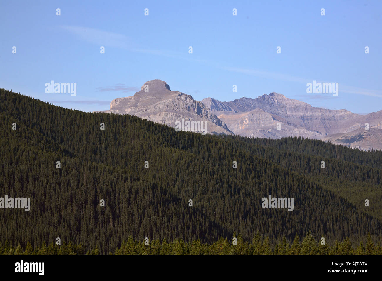 Palliser range hi-res stock photography and images - Alamy