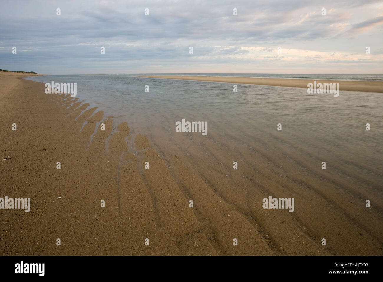 The beach shortly after dawn on the Cape Cod National Seashore Head of ...