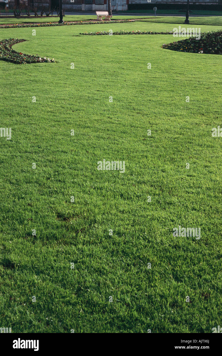 Green lawn in park Stock Photo - Alamy