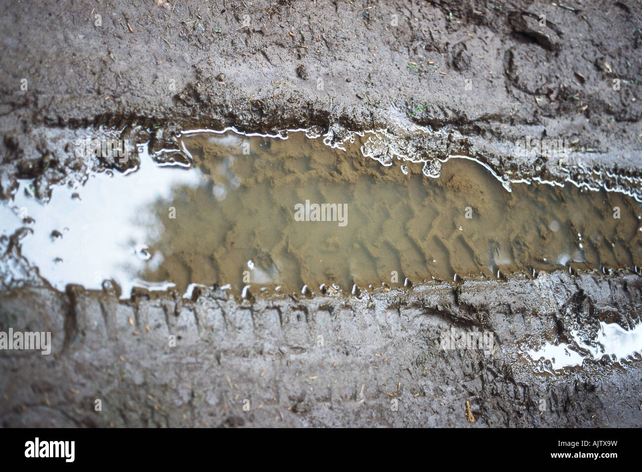 Puddle in tire track Stock Photo - Alamy