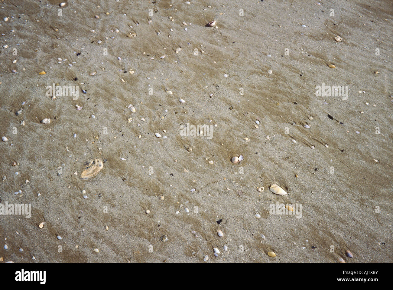 Wet sand, full frame Stock Photo - Alamy