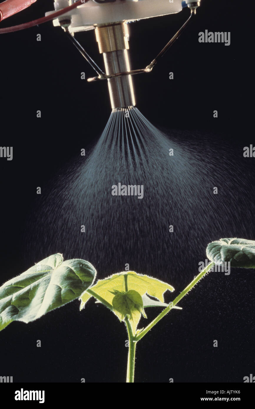 Prototype electrostatic sprayer spraying laboratory cotton plant Stock ...