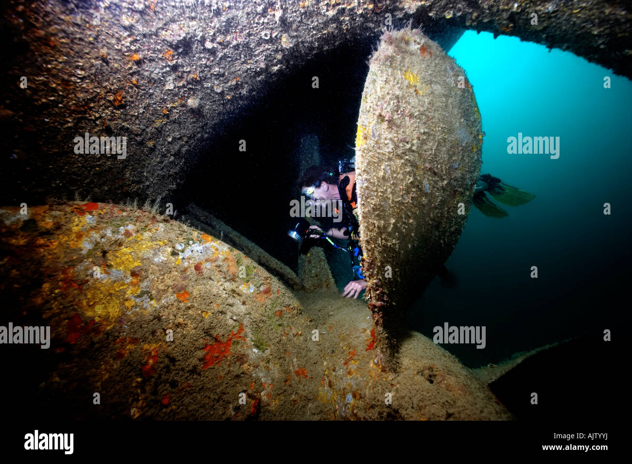 A diver investigates the propeller of The Salem, a shipwreck on Hyndman ...