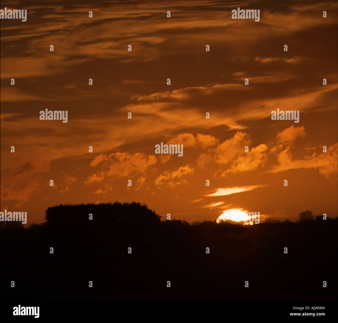 Nutley ashdown forest High Resolution Stock Photography and Images - Alamy