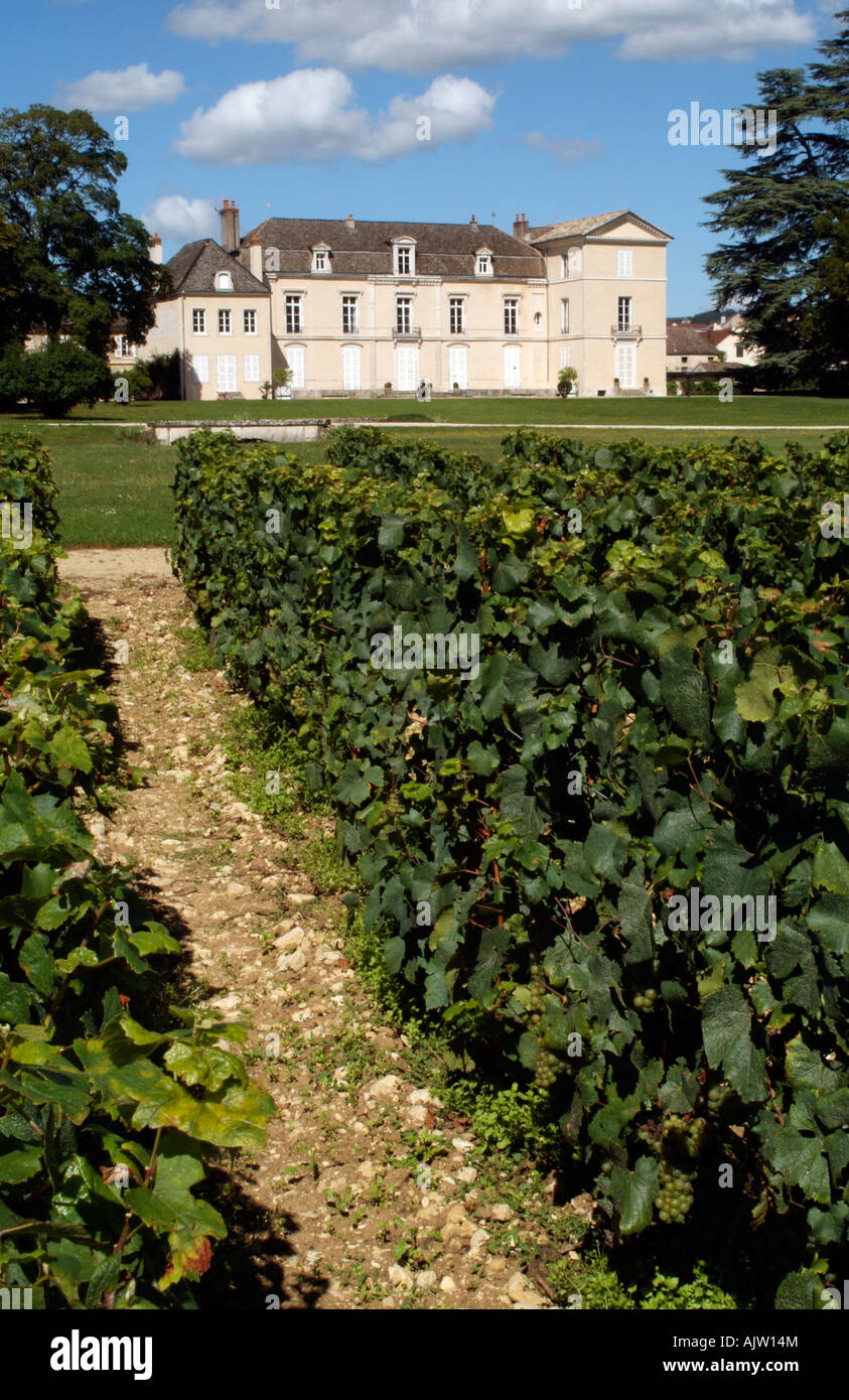 French Chateau Meursault Vineyard wine producing region of Cote de ...