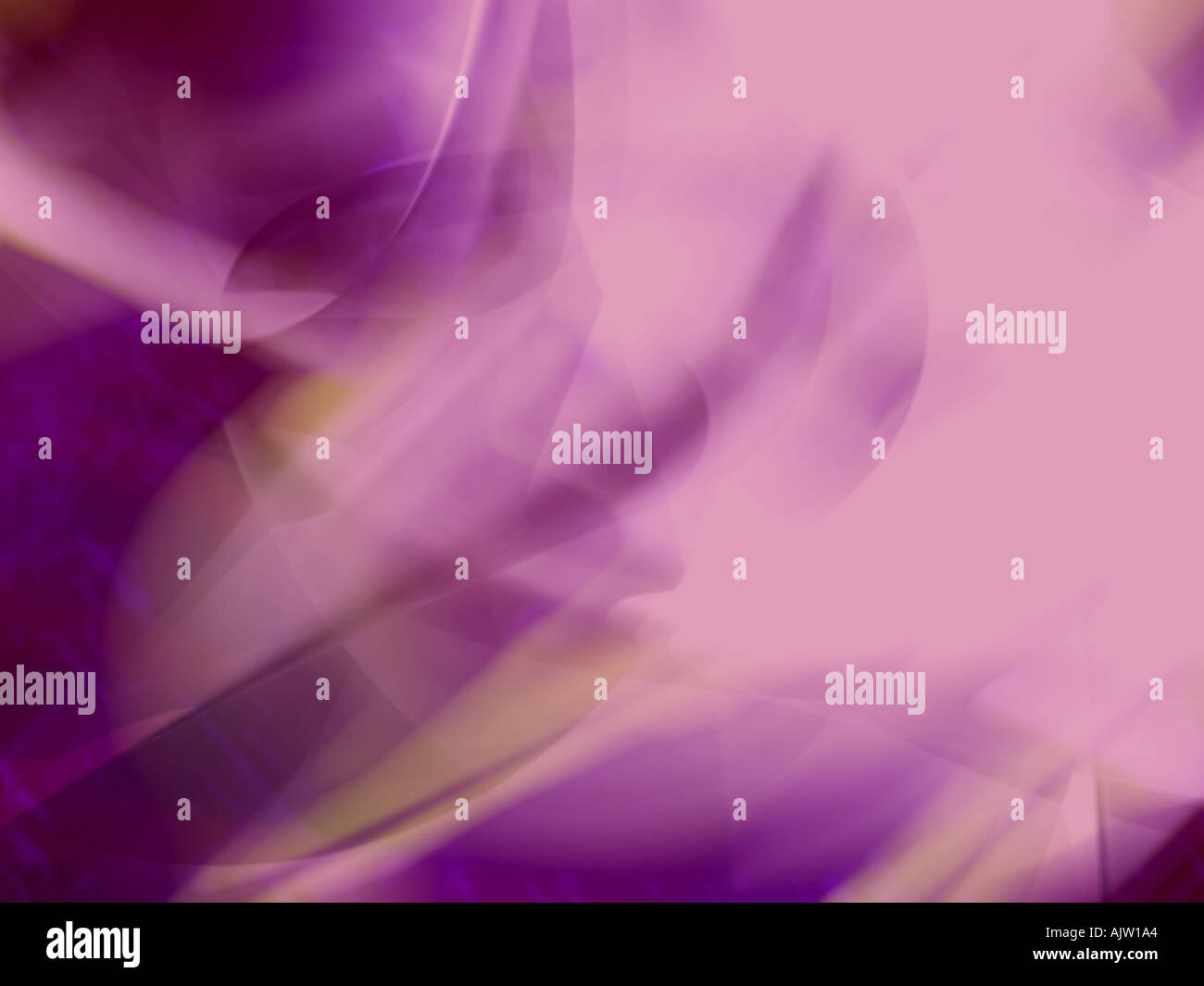 Lilac color shades hi-res stock photography and images - Alamy
