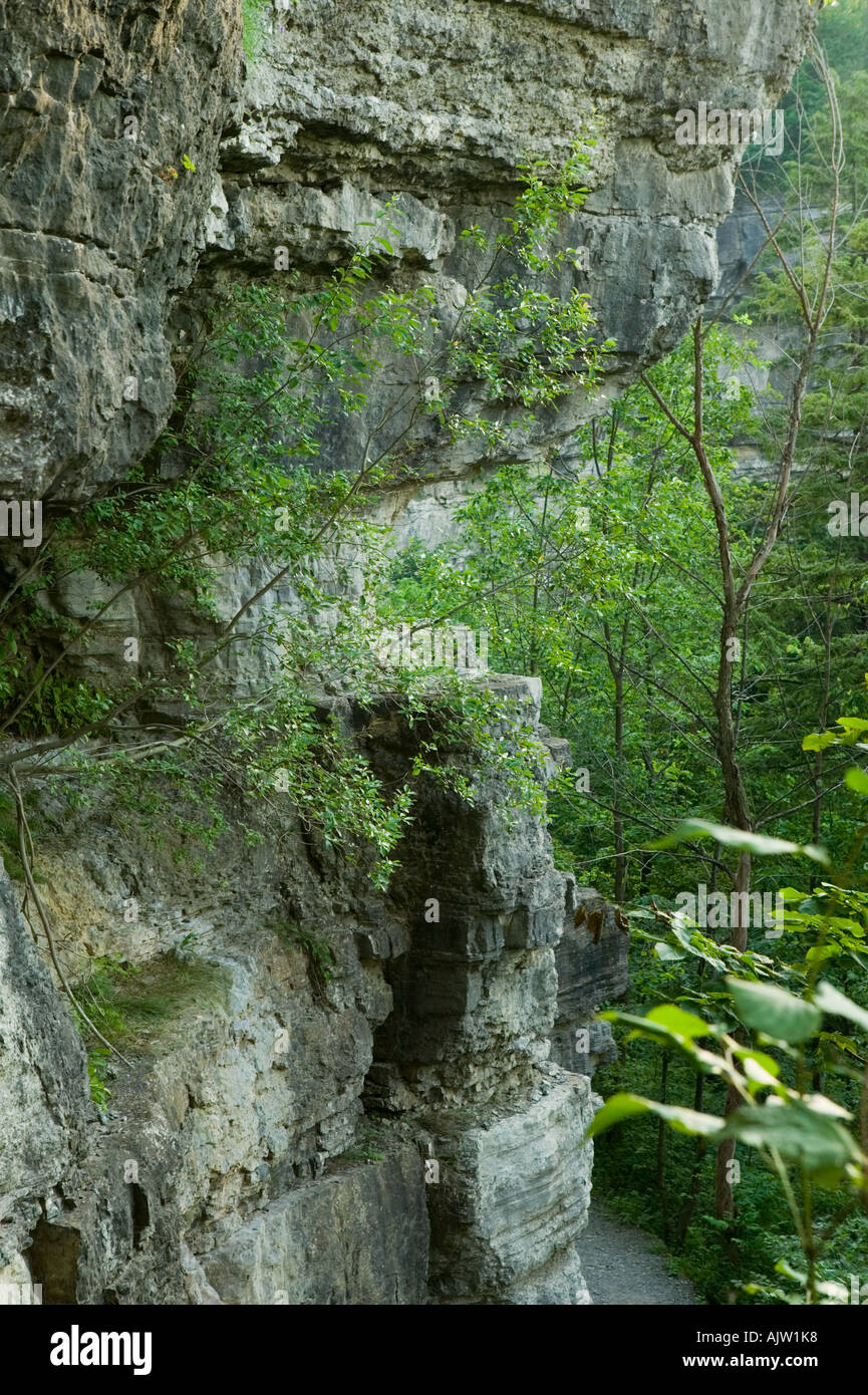 Escarpment bluffs John Thatcher State Park Albany County New York Stock ...