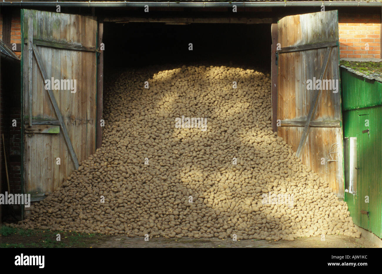 Potato barn hi-res stock photography and images - Alamy